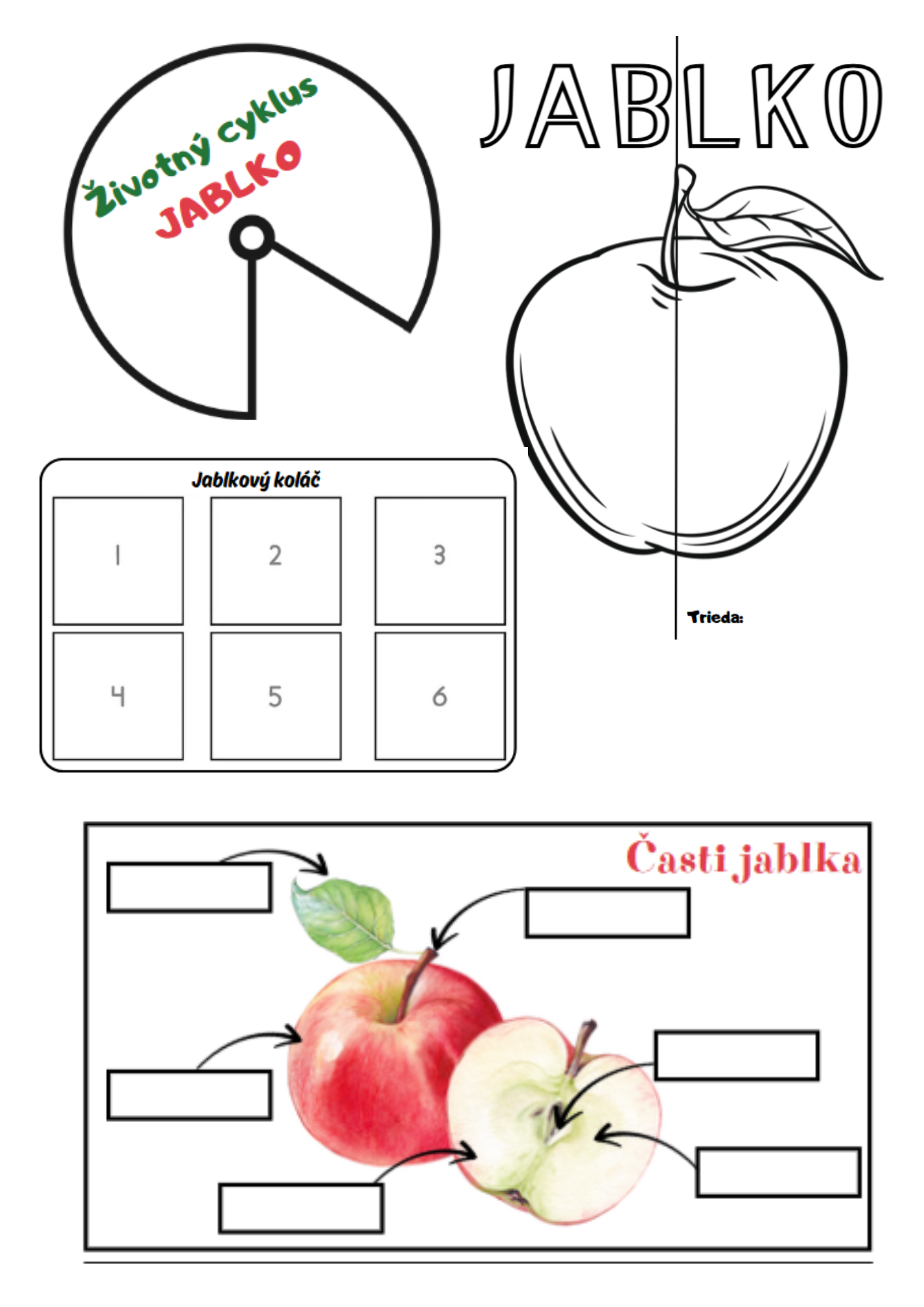 Lapbook JABLKO - Prírodoveda | UčiteliaUčiteľom.sk